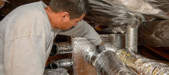 article-img2 | Local Attic Cleaning and Insulation Removal Service